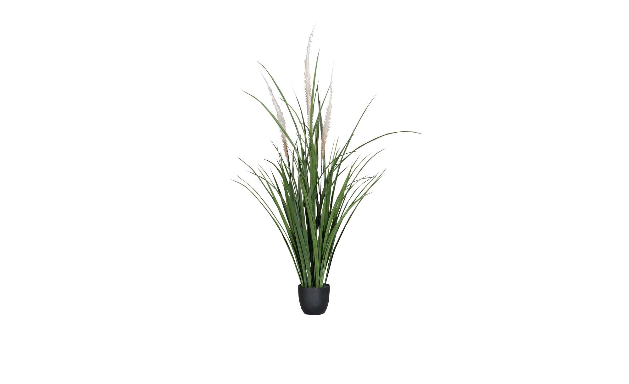Understanding GRAS: Generally Recognized as Safe – AssamTouch समाचार