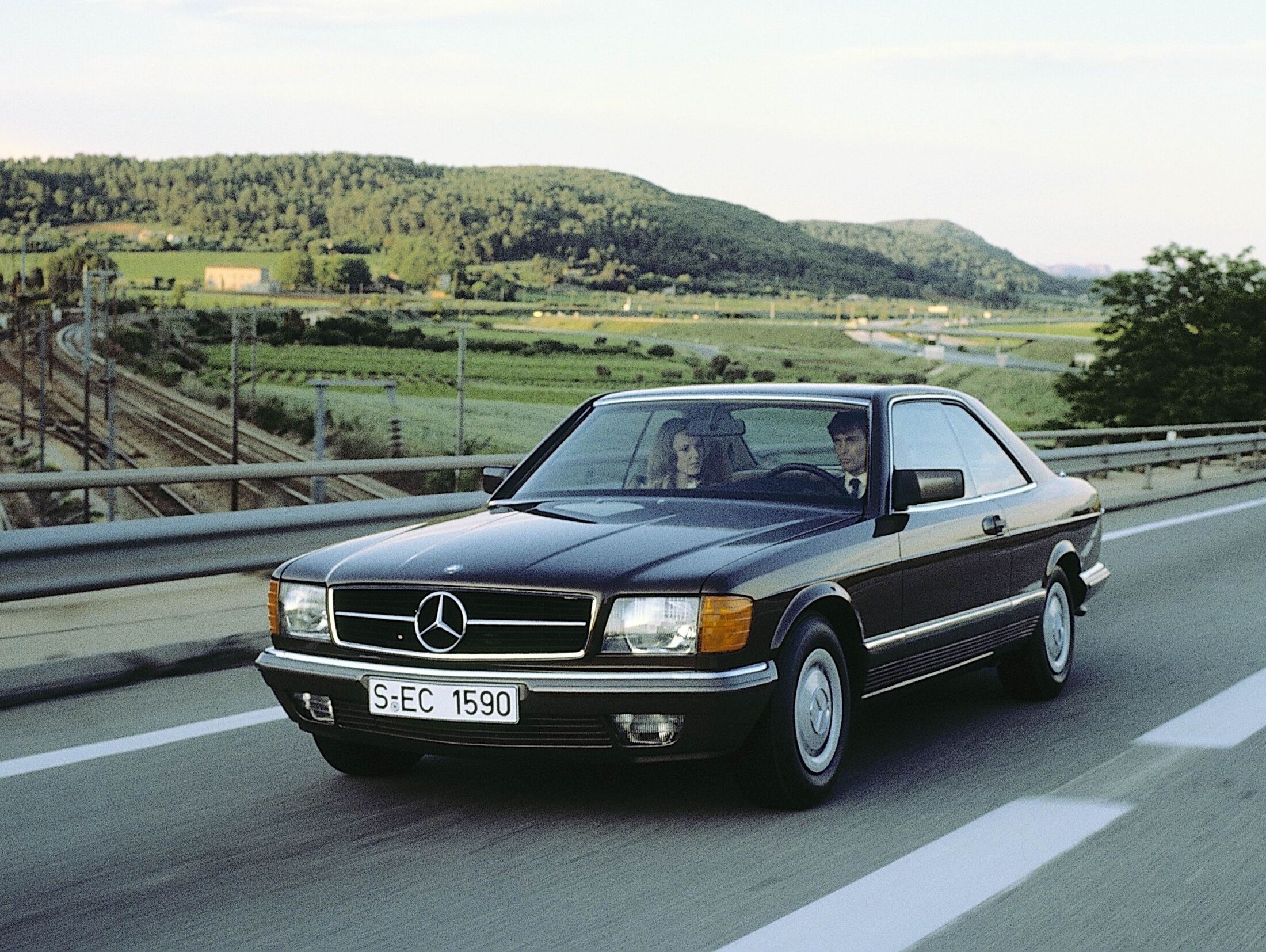 Understanding the Importance of S Shedge in Today’s World – AssamTouch ...