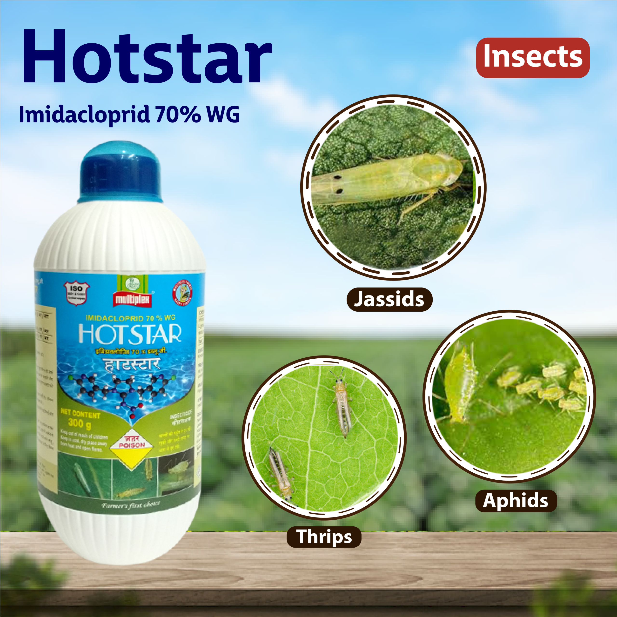 Everything You Need to Know About Hotstar – AssamTouch समाचार