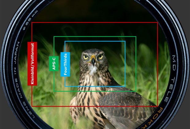 Understanding APSC: Assam Public Service Commission – AssamTouch समाचार