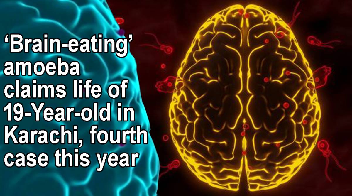 Understanding the Risks of Brain Eating Amoeba – AssamTouch समाचार