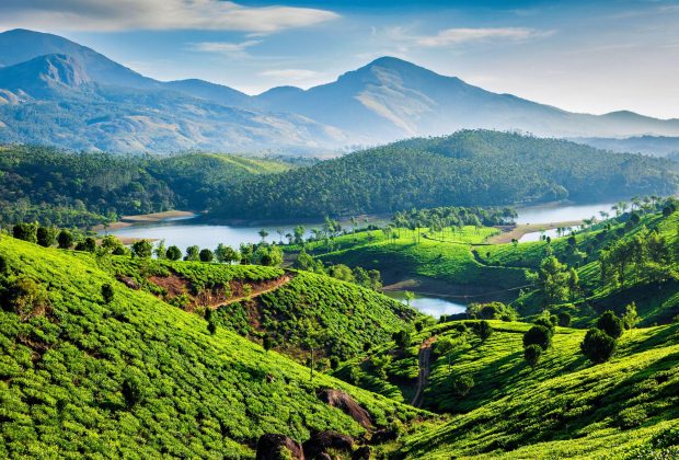Discovering Munnar: A Serene Hill Station in Kerala – AssamTouch समाचार