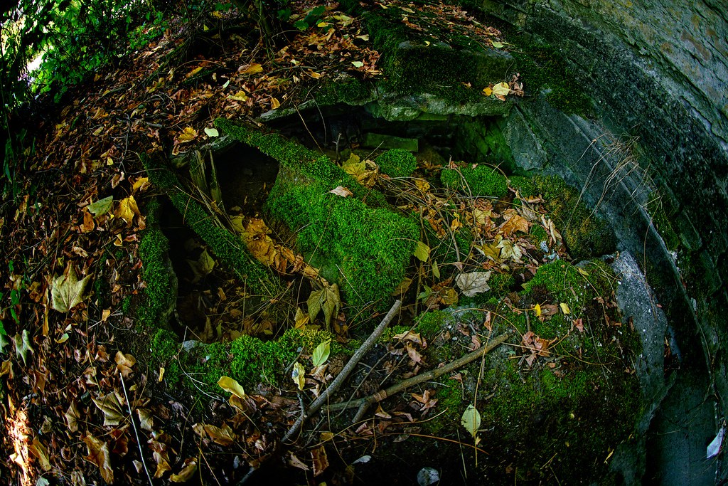 Understanding the Significance of Lost Items – AssamTouch समाचार