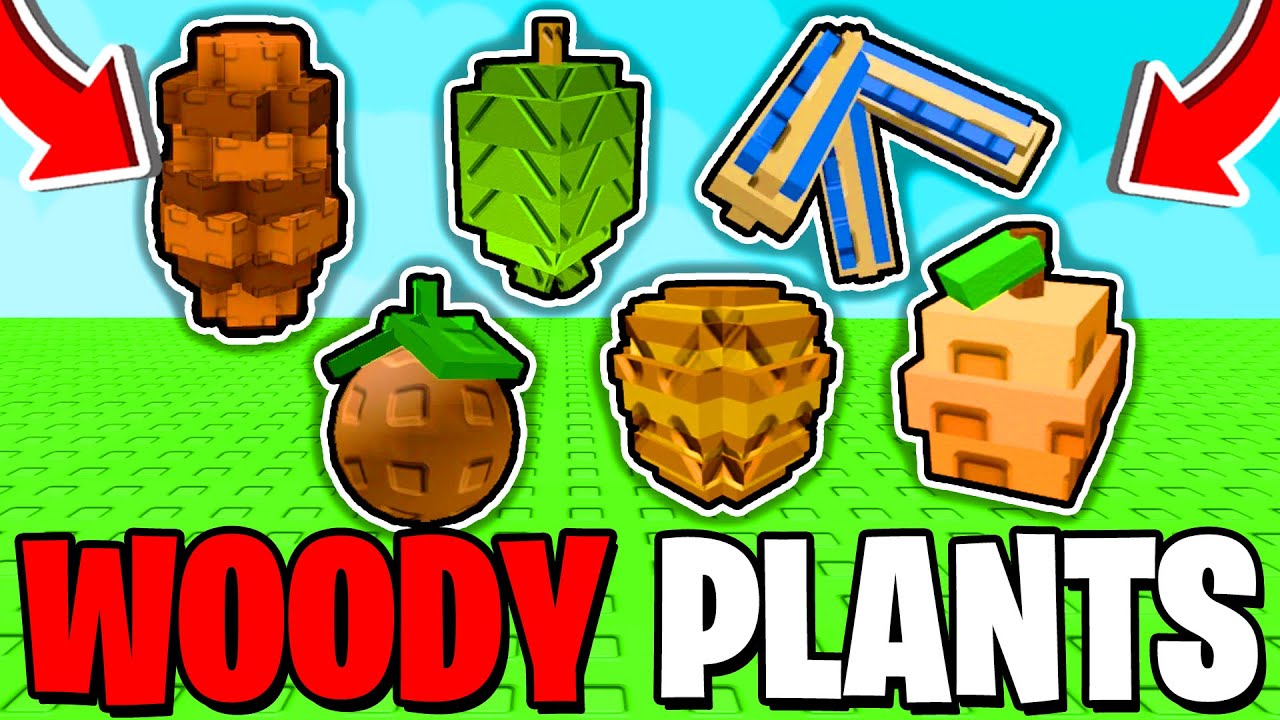 Understanding Woody Plants in Grow a Garden on Roblox – AssamTouch समाचार