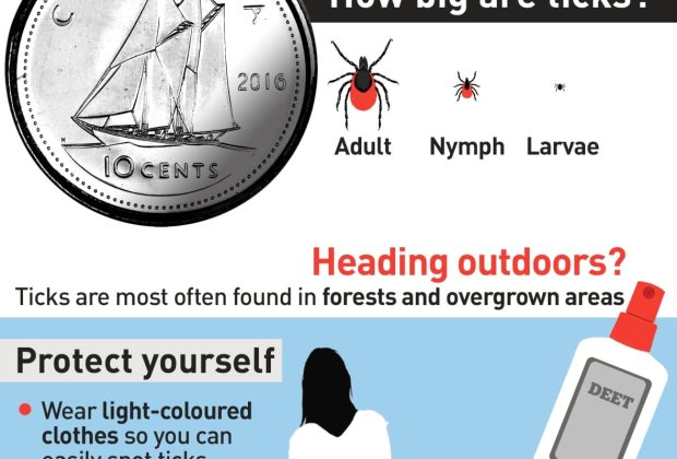 Understanding Lyme Disease Symptoms And Preventive Measures Assamtouch समाचार